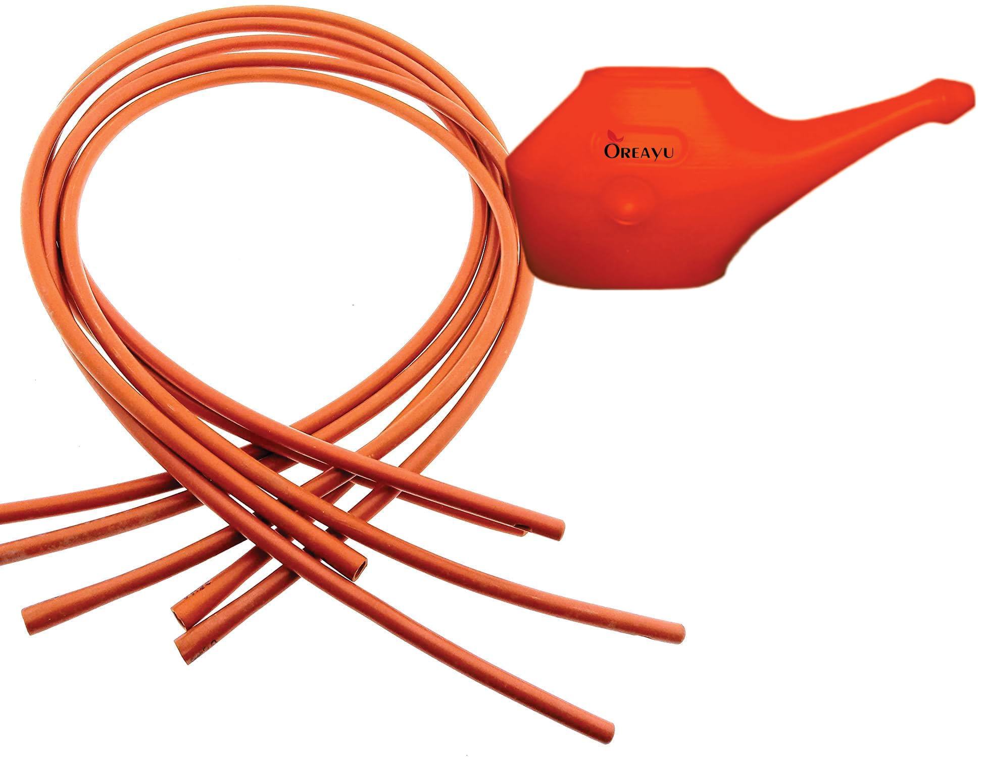 Blog - Healthy Foods Healthy Goods